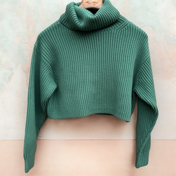 Babaton | Sweaters | Nwot Babaton Aritzia Chunky Cropped Knit ...